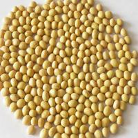 SCS Food Manufacturing Sdn Bhd Malaysia - Foods & Beverage Manufacturer ...